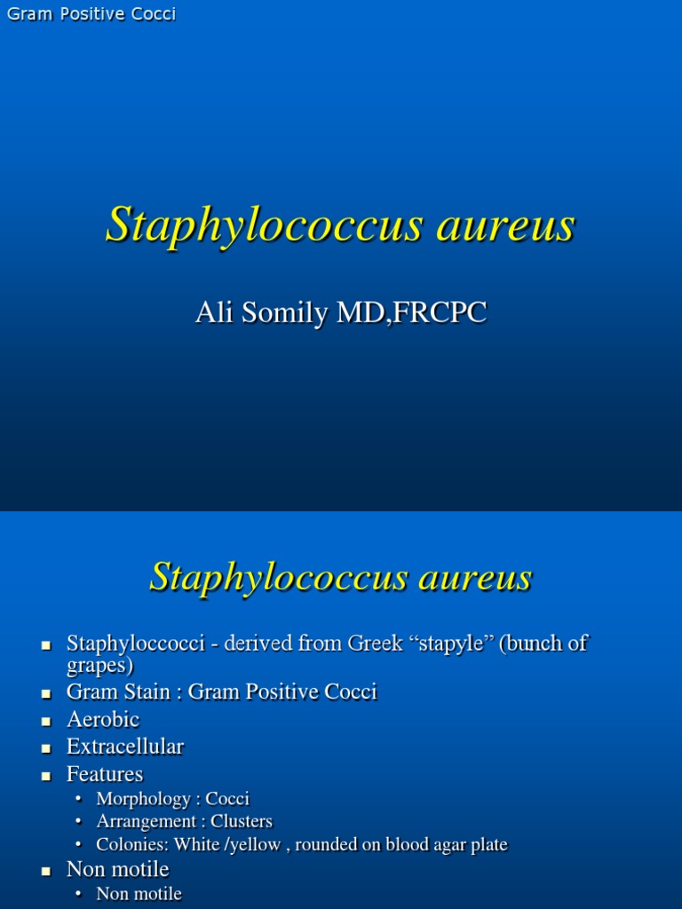 04 Staphylococcus Aureus | PDF | Urinary Tract Infection ...