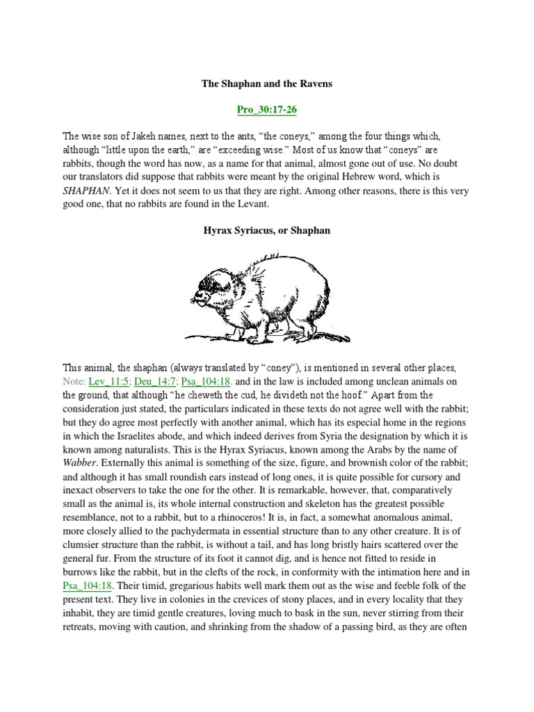 Shaphan vs. Rabbits: Biblical Insights | PDF | Nature
