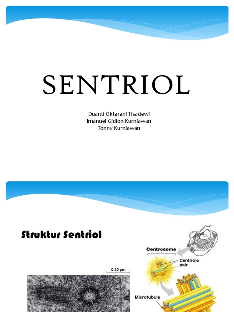 Sentriol: Duanti Oktarani Tisadewi Imanuel Gidion Kurniawan Tonny ...