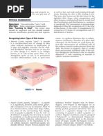 Dermatology Exam: Key Morphology Terms | PDF | Psoriasis | Dermatology