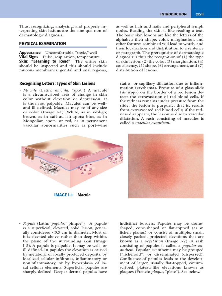 Skin Lesions | Cutaneous Conditions | Scar