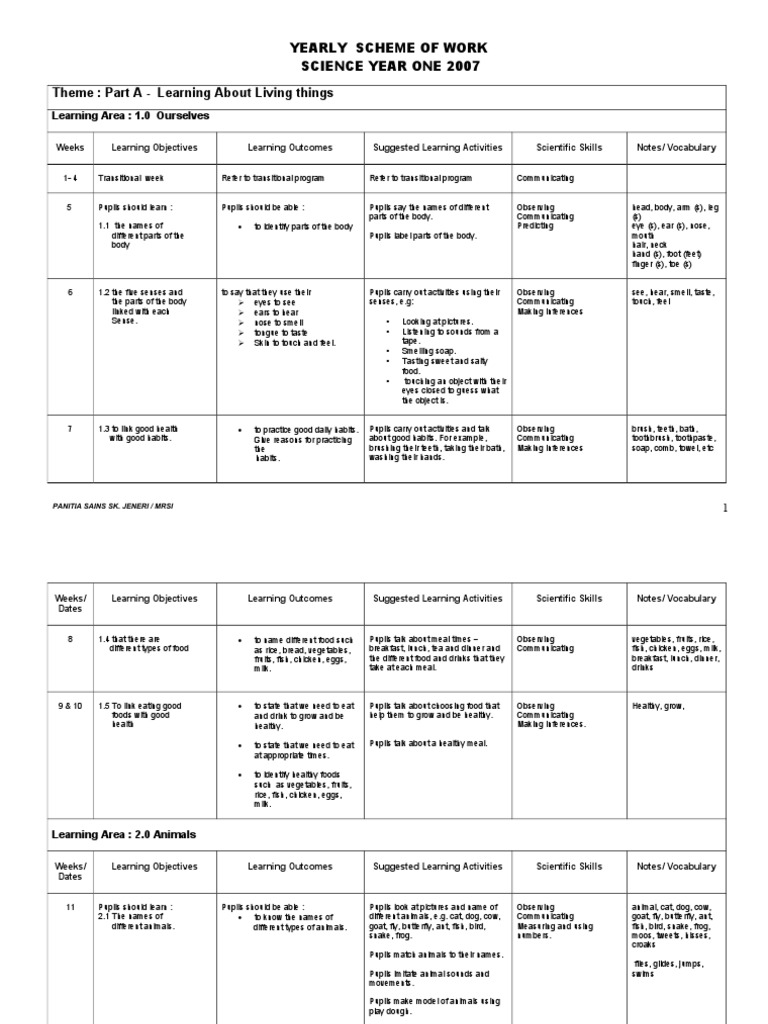 Year 1 Science Scheme of Work | PDF | Meal | Lunch