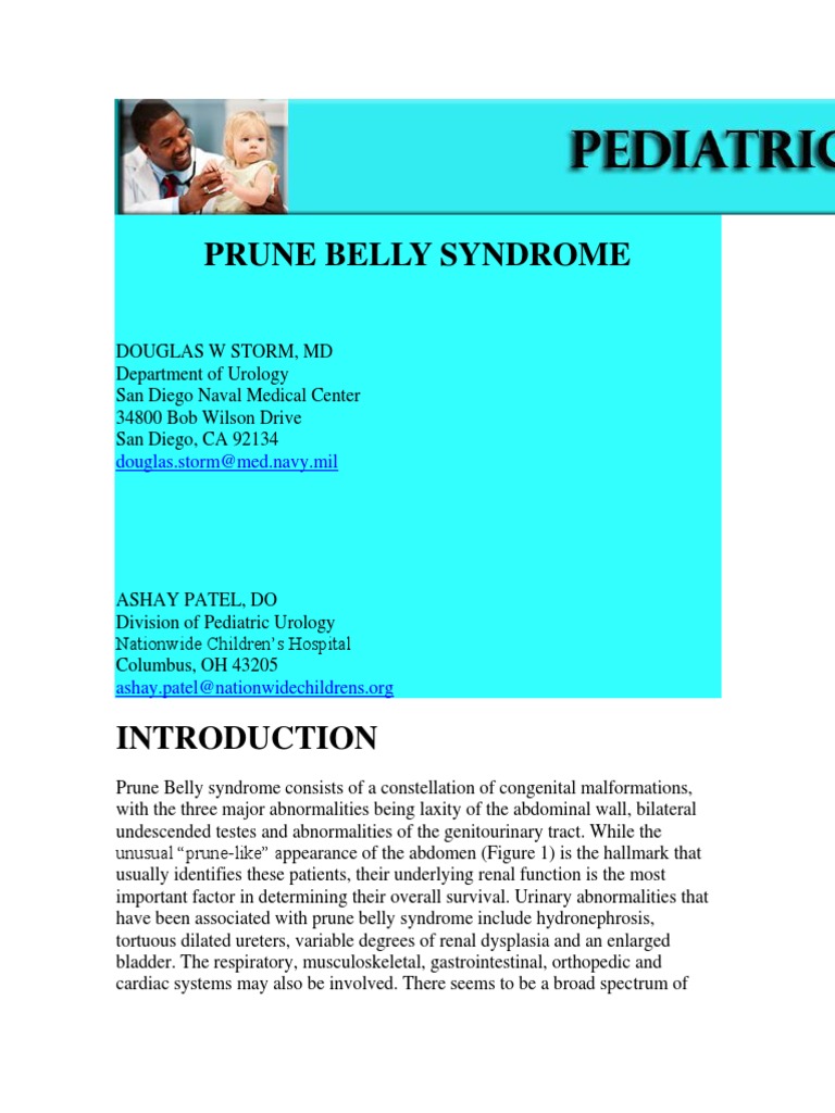 Prune Belly Syndrome | PDF | Urinary Bladder | Prostate