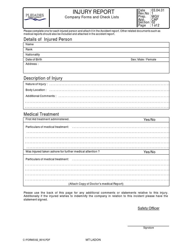Documenting Injuries: A Standardized Injury Report Form for Collecting ...