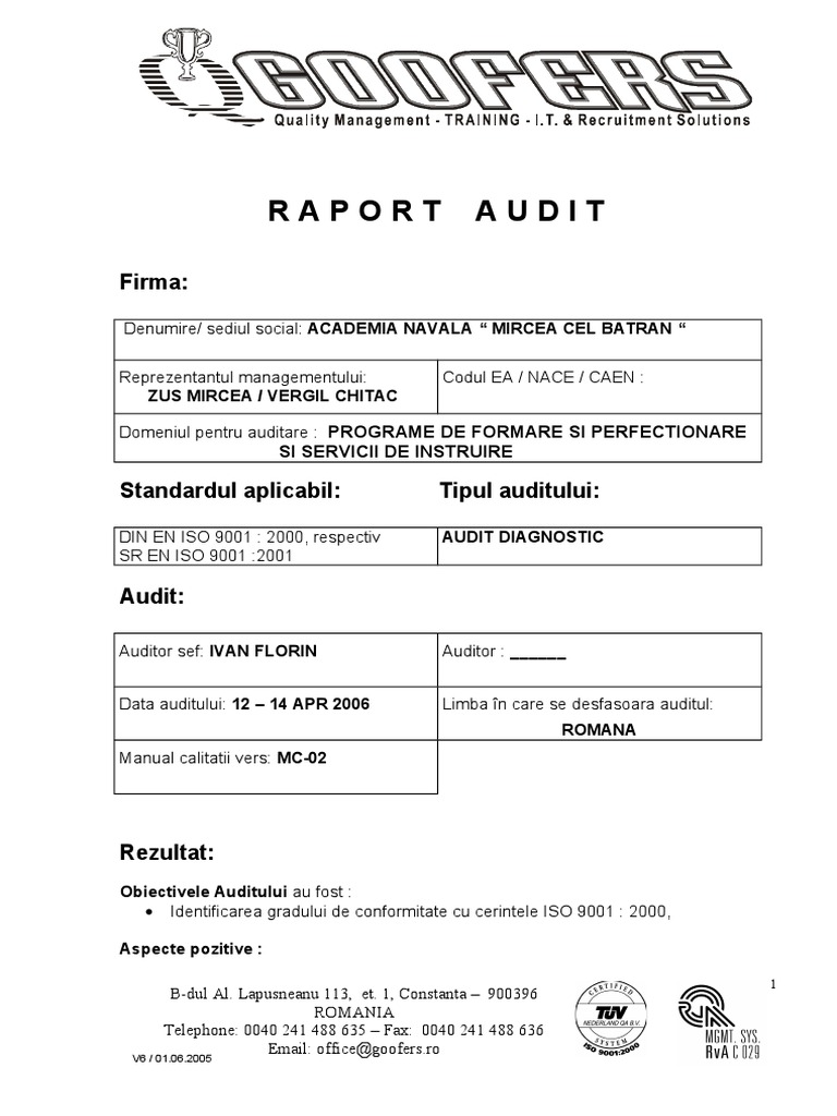 Raport Audit Intern Model | PDF