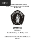 Anatomi dan Fisiologi Aksila | PDF