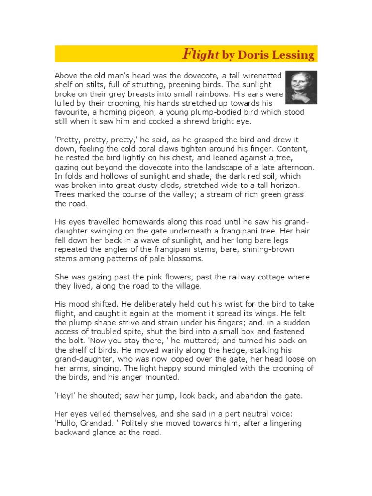 Flight by Doris Lessing | PDF | Leisure | Nature