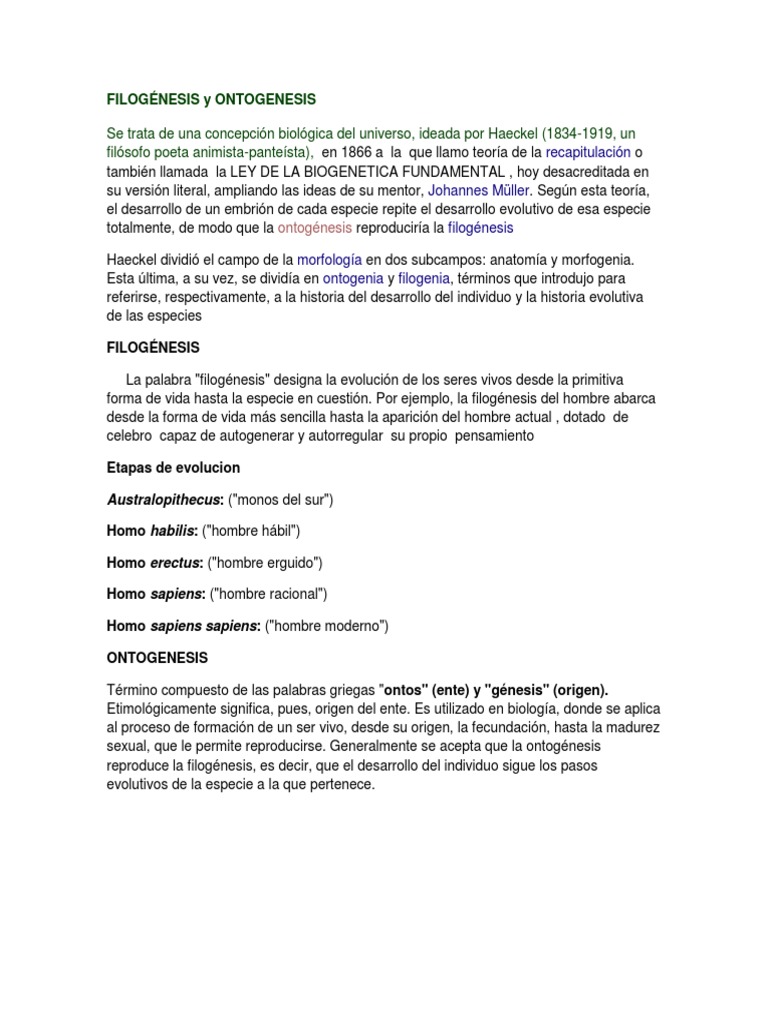 FILOGÉNESIS y ONTOGENESIS | PDF | Homo Sapiens | Homo