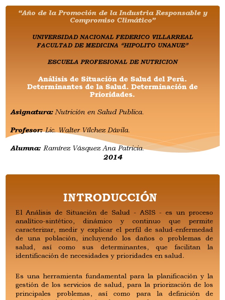 de Analisi de Situacion de Salu Del Peru | PDF | Perú | Población