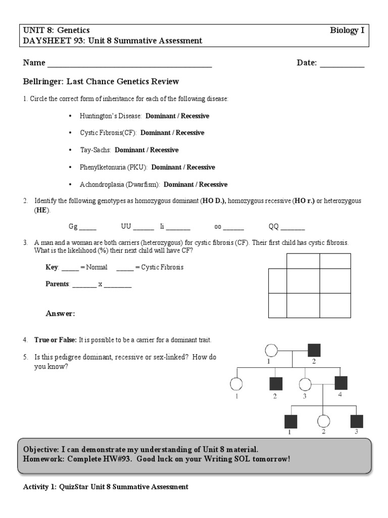 Unit 8 Genetics Assessment Guide | PDF | Dominance (Genetics) | Zygosity