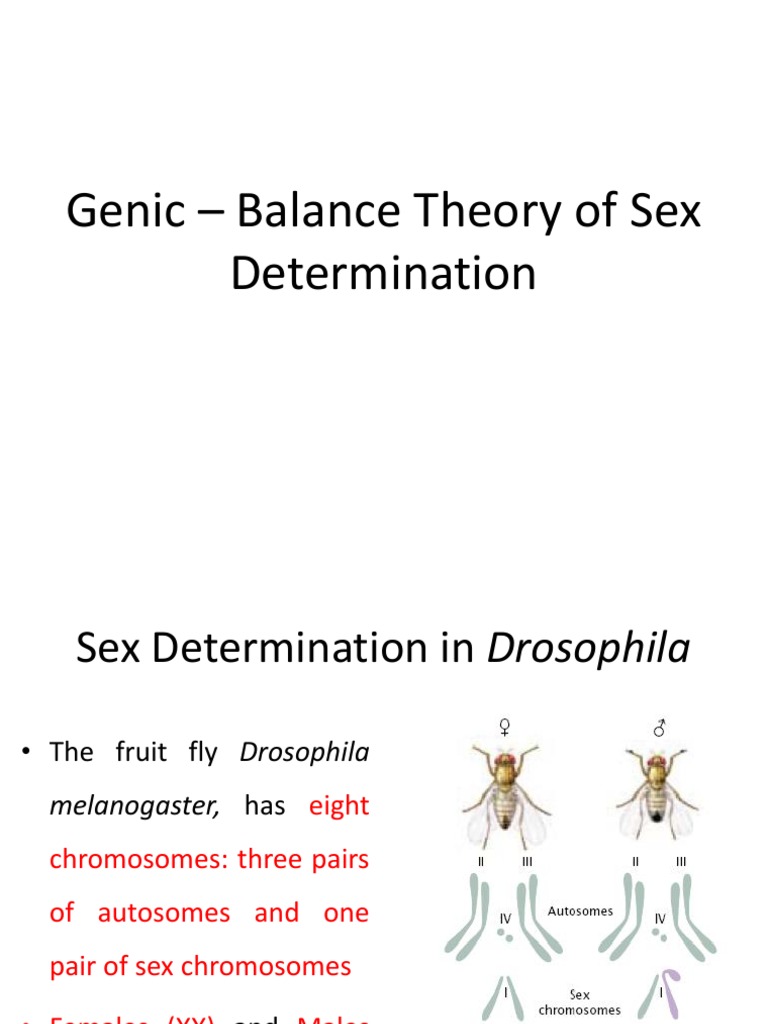Genic Balance Theory Of Sex Determination Pdf Alternative Splicing