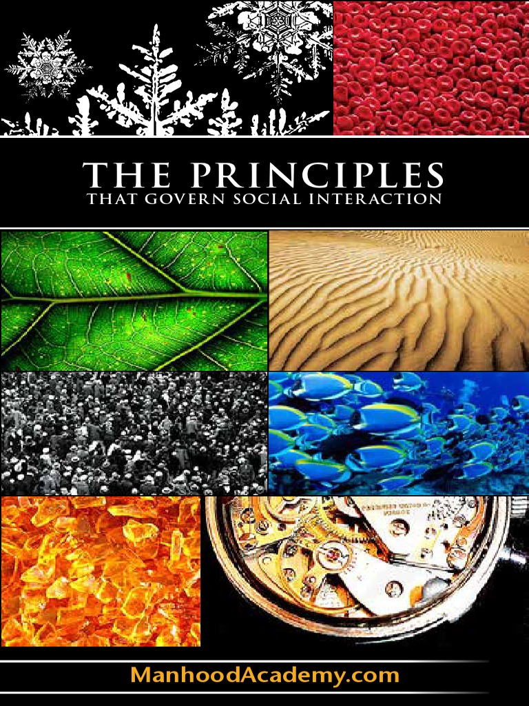 Principles 101 Pdf