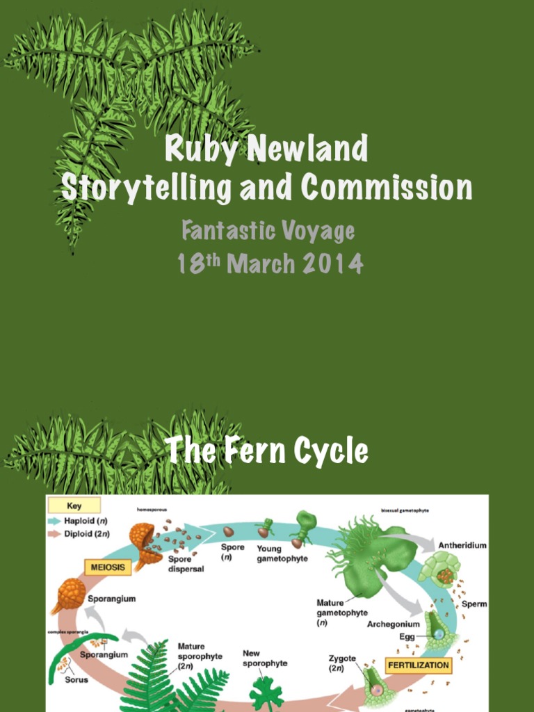 Ruby Newland Storytelling and Commission: Fantastic Voyage 18 March ...