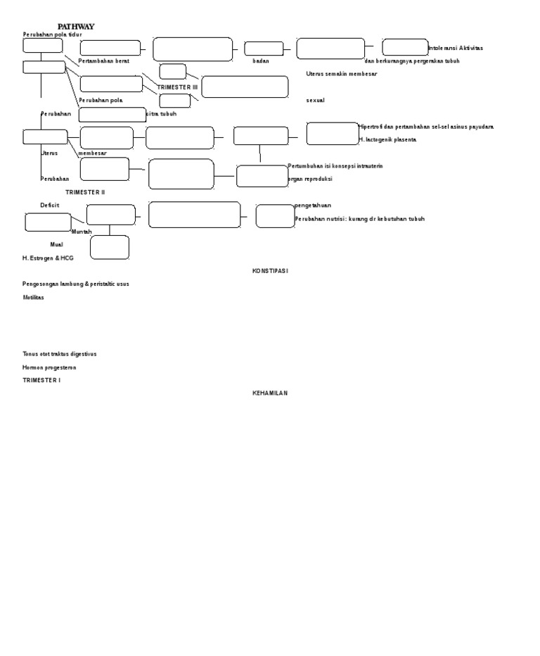 PATHWAY Prenatal | PDF | Kesehatan Holistik
