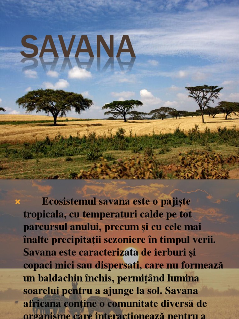 Savana | PDF