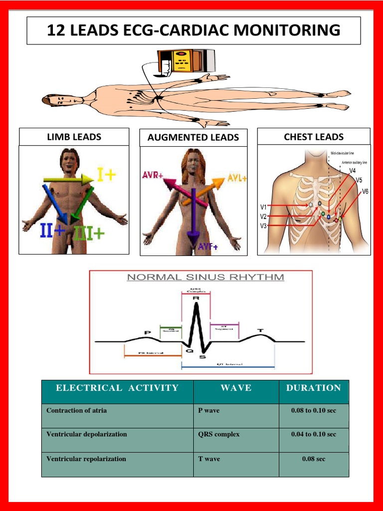 12 Leads Ecg-Cardiac Monitoring: Limb Leads Augmented Leads Chest Leads ...