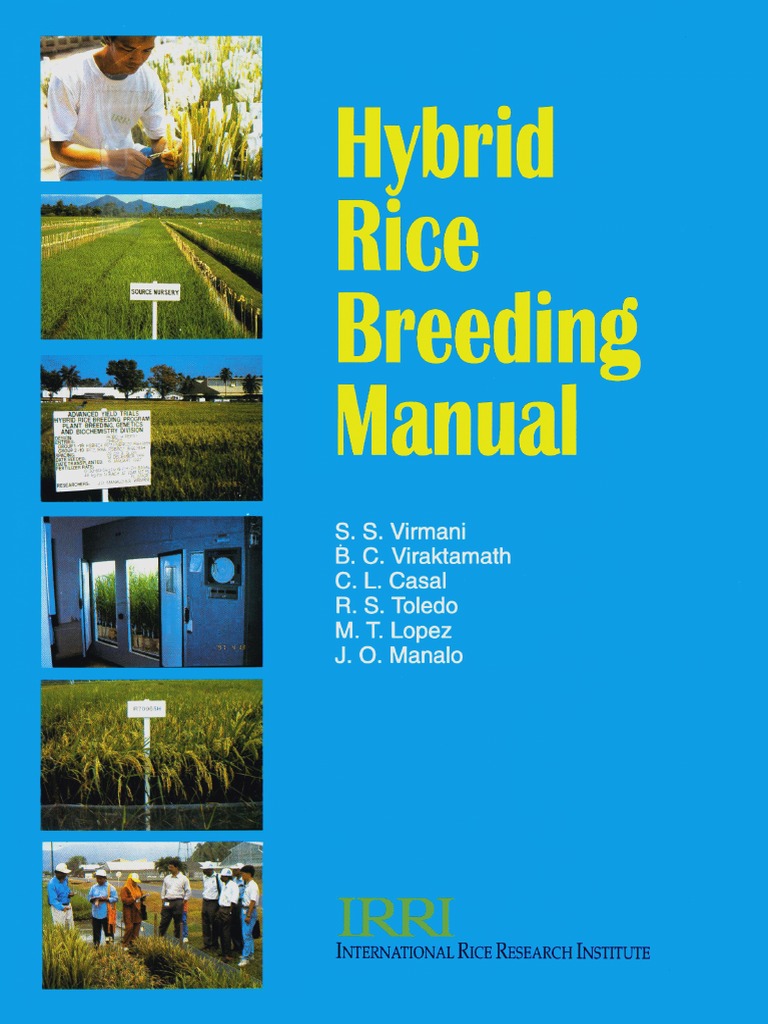 Hybrid Rice Breeding Manual | Plant Breeding | Hybrid (Biology)