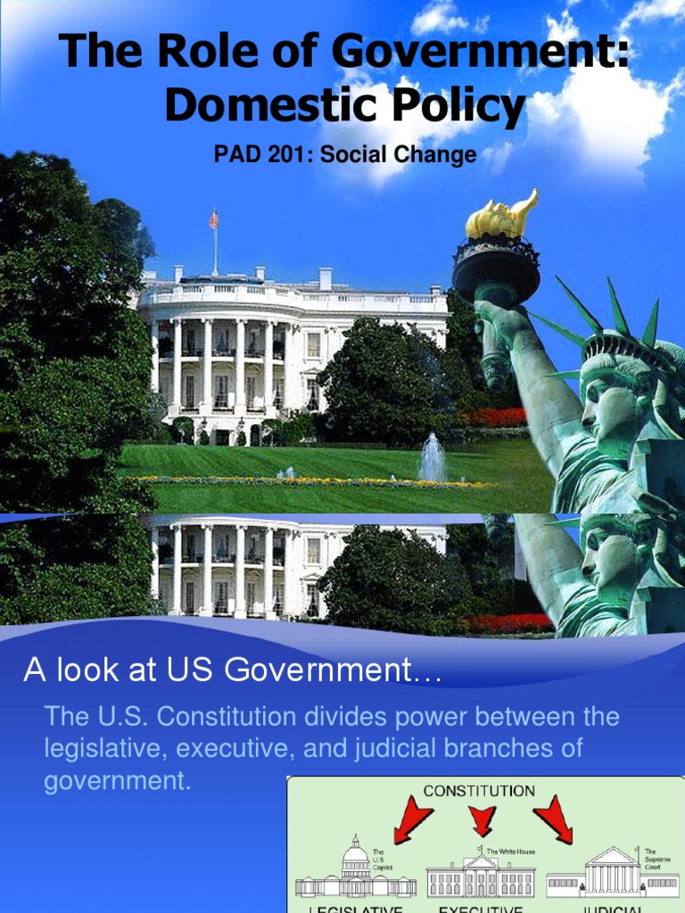 The Role of Government and Domestic Policy | PDF | Politics | Social ...