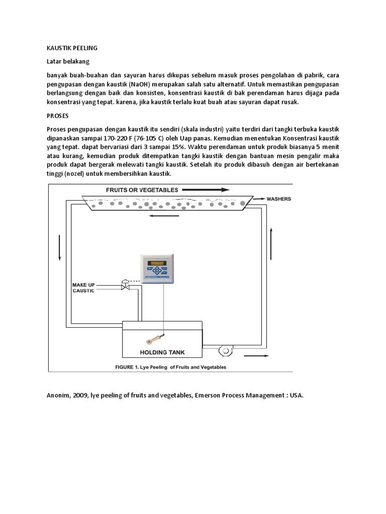 Kaustik Peeling | PDF