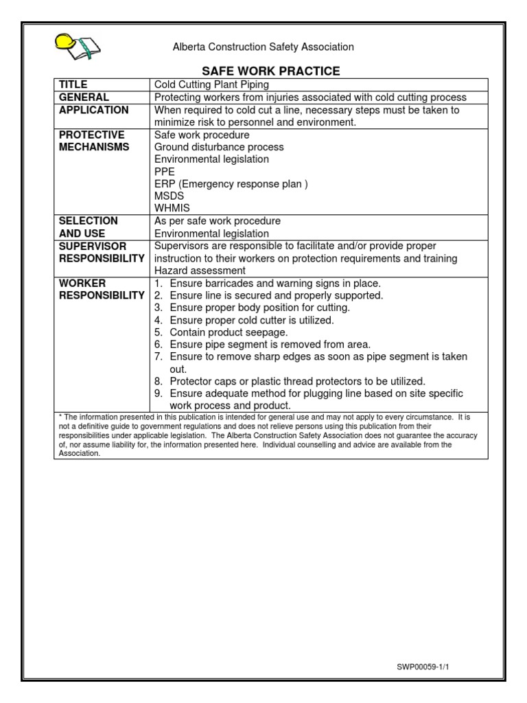 Safe Work Practice: Title General Application Protective Mechanisms ...