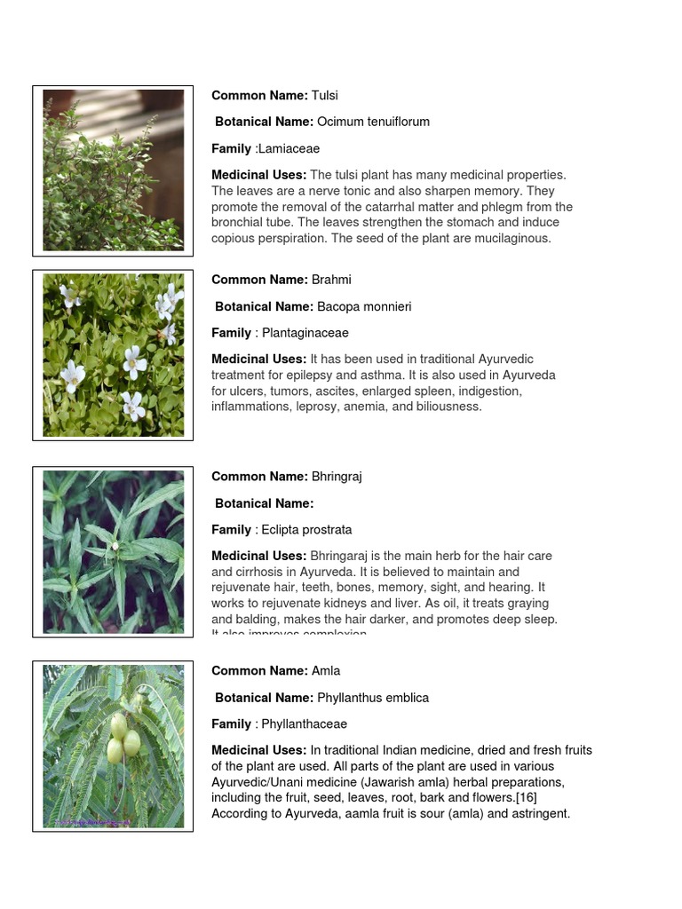 Ayurvedic Plants With Name