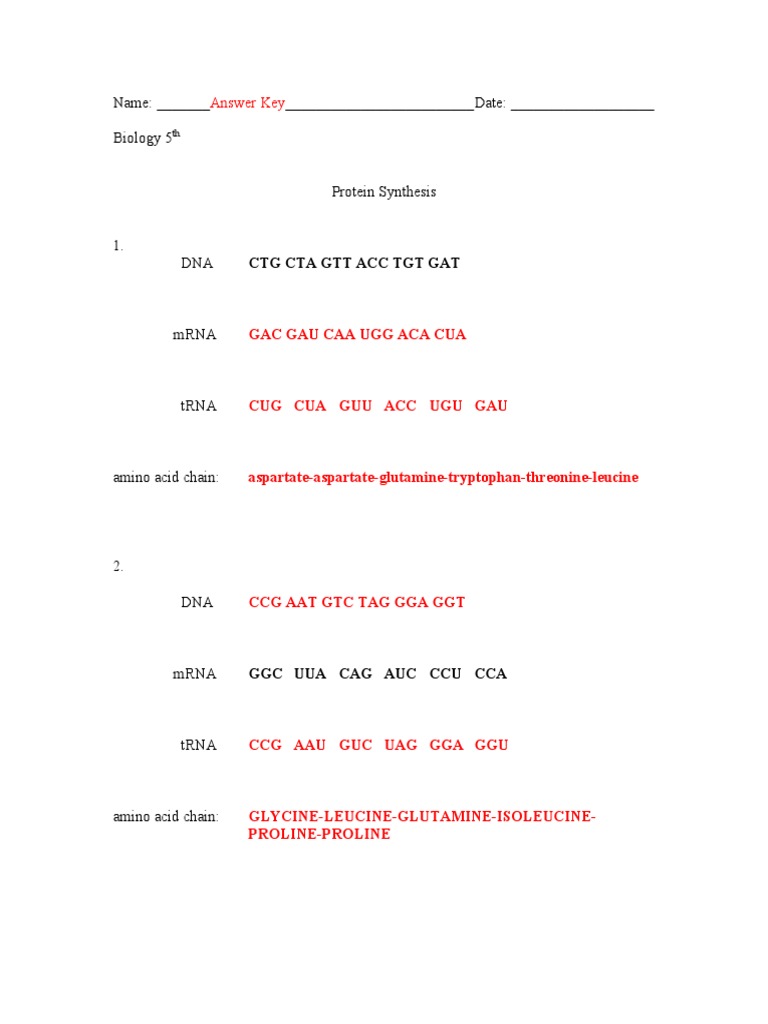 Protein Synthesis Answer Key | PDF