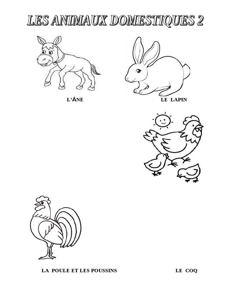 Les Animaux Domestiques 2 | PDF