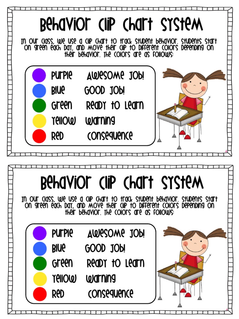 Behavior Notes | PDF