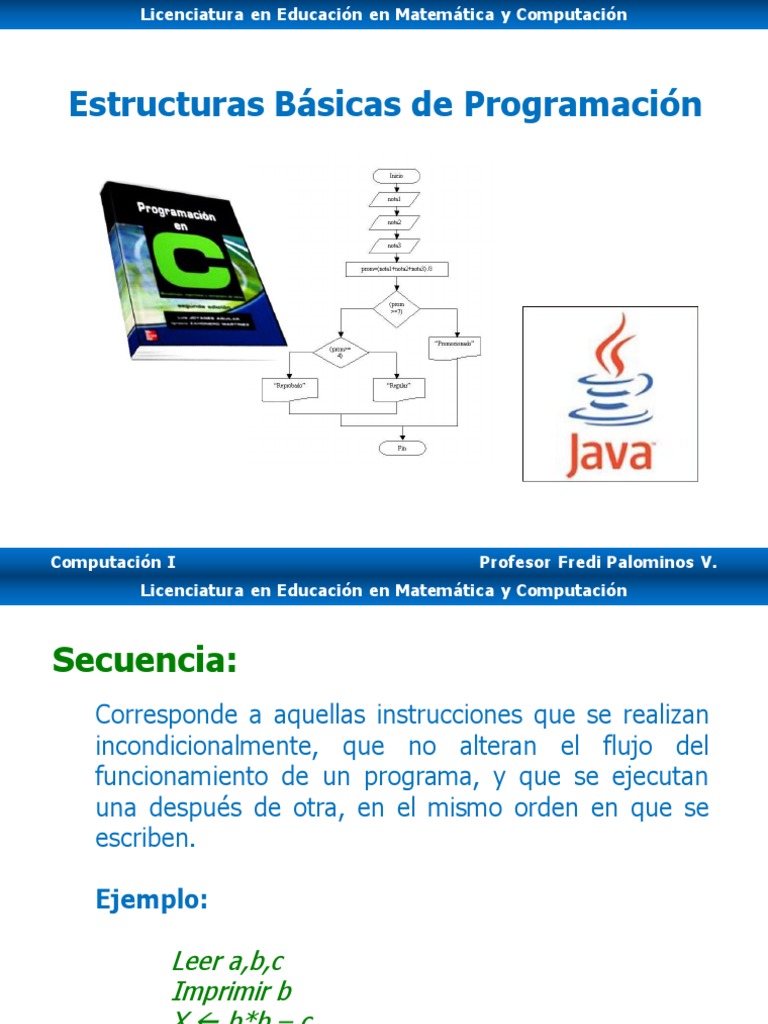 Estructuras Basicas de Programacion | PDF | Algoritmos | Conceptos matemáticos