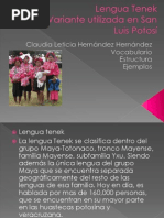 La Gramática Universal | PDF | Lingüística | Gramática