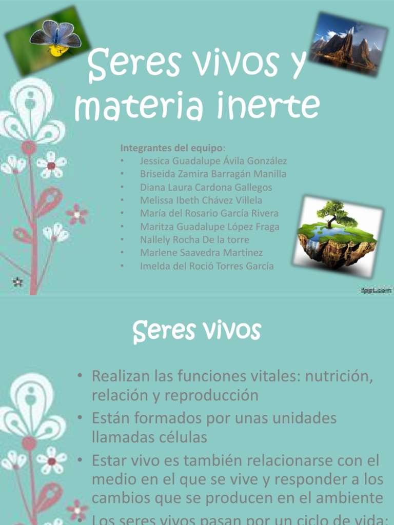 Seres Vivos y Materia Inerte | PDF | Ciencia y matemáticas