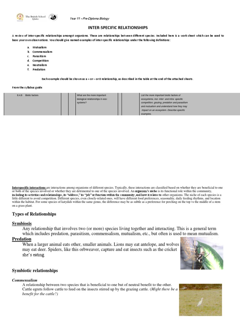 Worksheet For Inter-Specific Relationships | PDF | Parasitism | Symbiosis