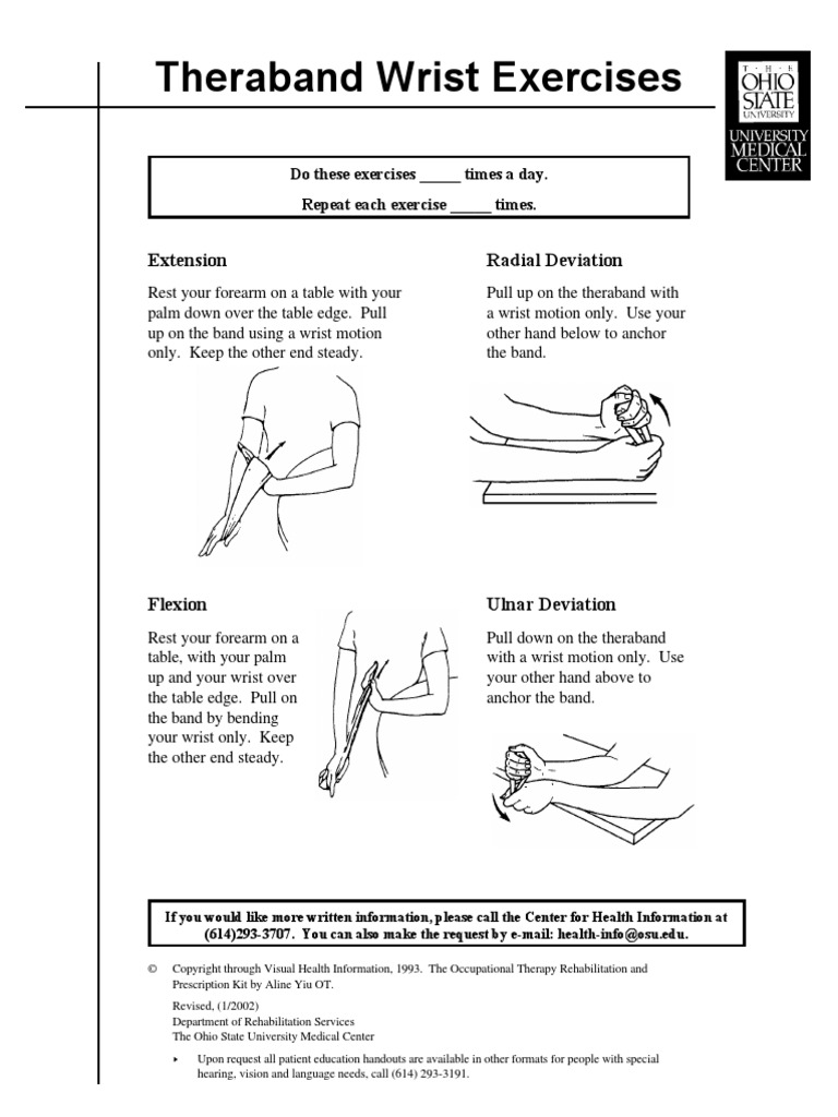 Theraband Wrist Exercises | PDF | Anatomical Terms Of Motion | Limbs ...