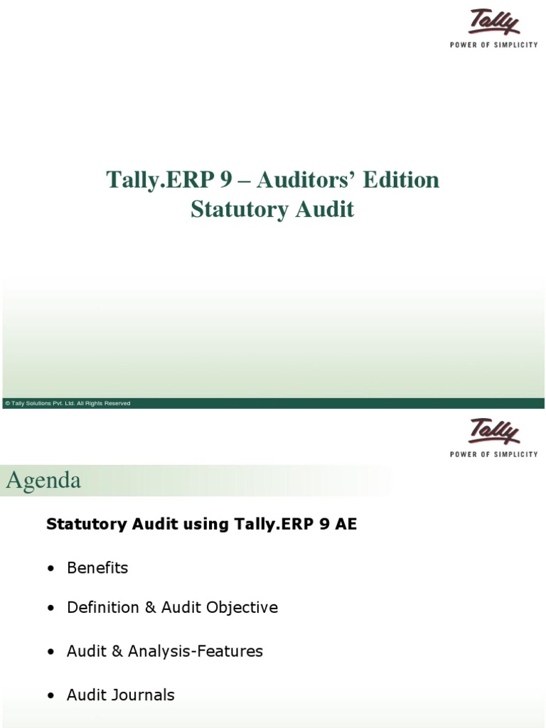 Statutory Audit Presentation | PDF | Financial Transaction | Audit