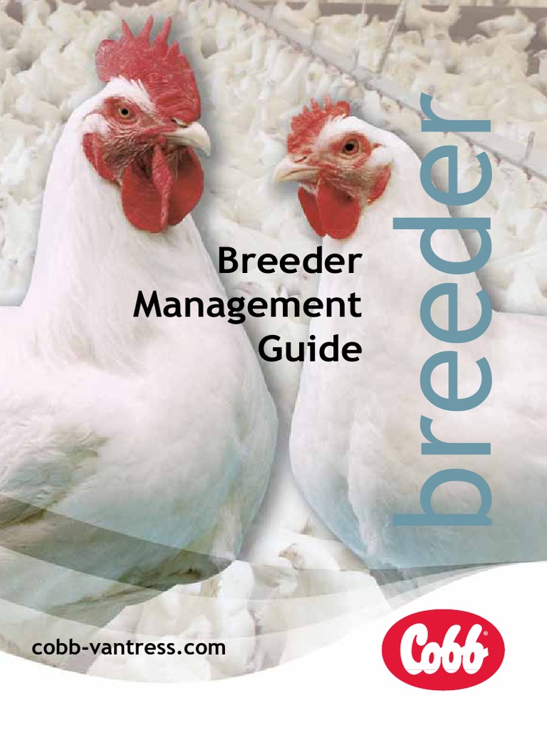 Cobb Breeder Guide 2008 | PDF | Coefficient Of Variation | Broiler