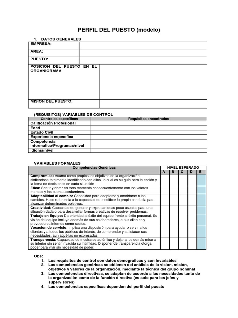 Modelo de Perfil de Puesto | PDF | Creatividad | Toma de decisiones