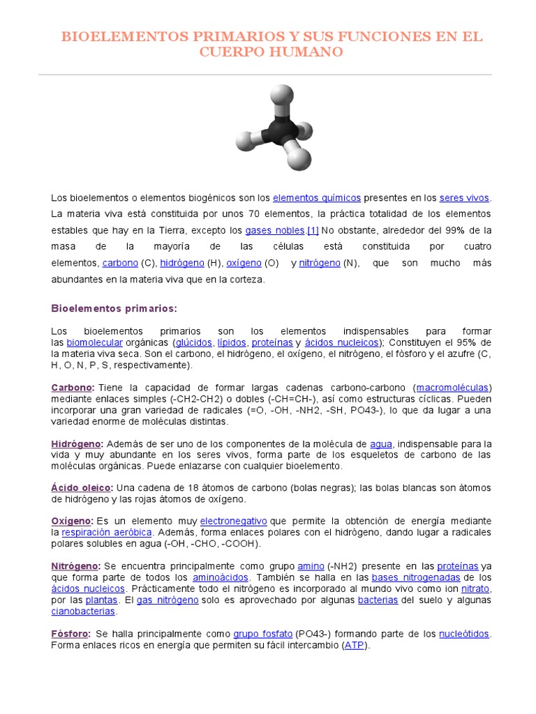 Bioelementos Primarios y Sus Funciones en Oligoelemento 2 | PDF | Biomoléculas | Organismos