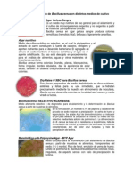 Medio SIM | PDF | Medio de crecimiento | Esterilización (Microbiología)