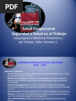 IMEVID | PDF | Diabetes mellitus | Bienestar