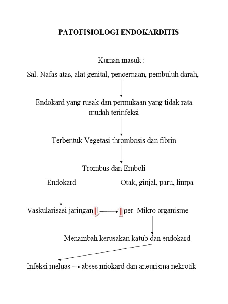 Patofisiologi Endokarditis | PDF