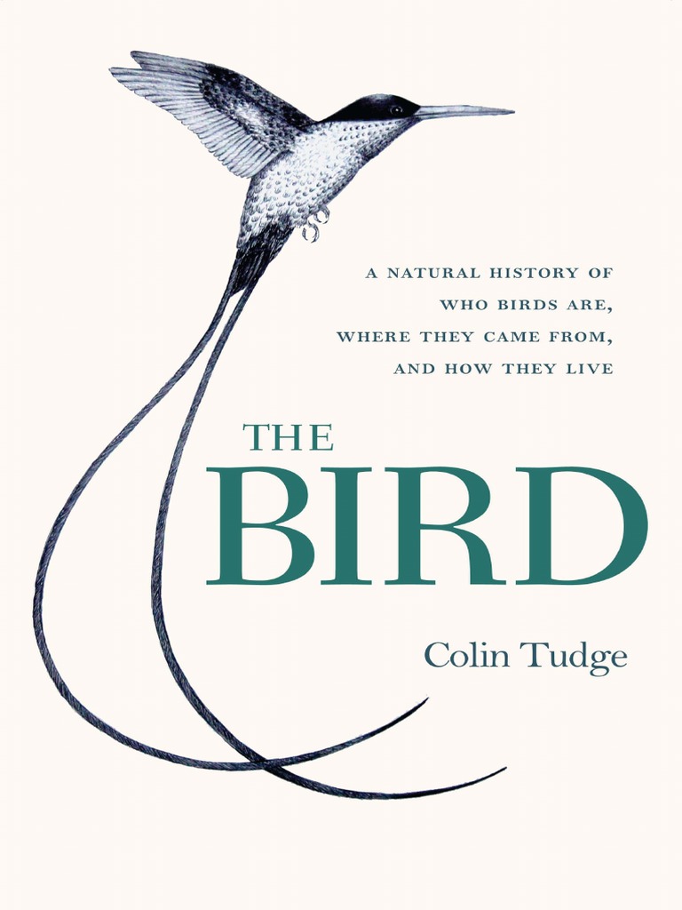 The Bird by Colin Tudge - Excerpt | PDF | Flight | Lift (Force)