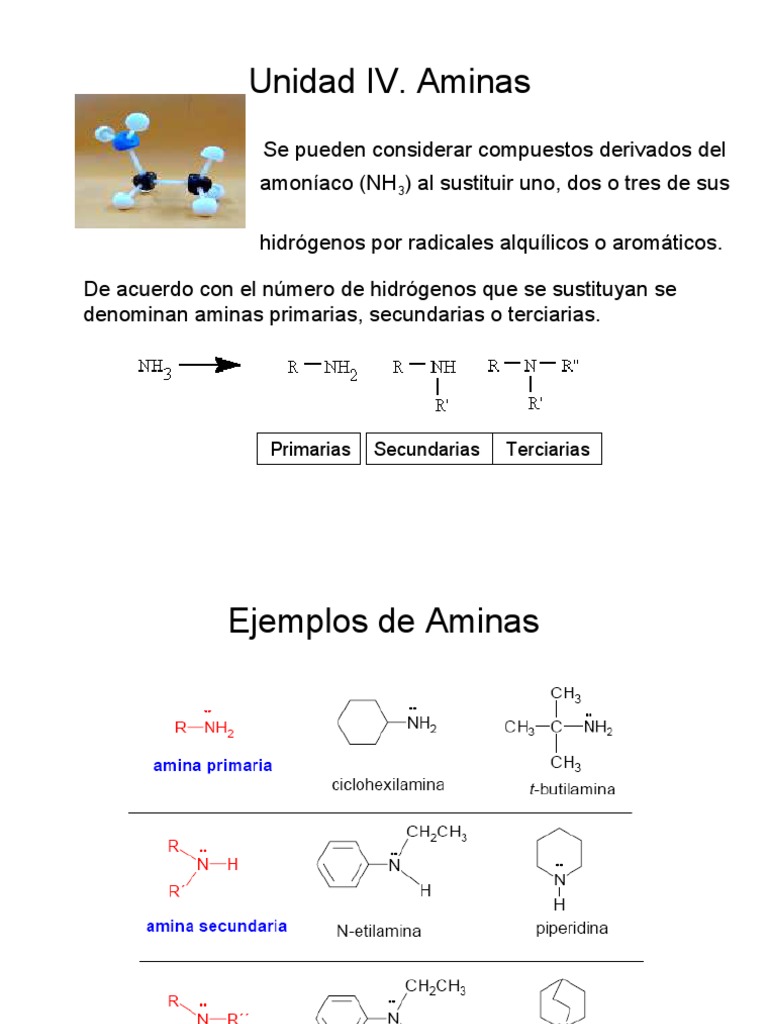 Unidad II Aminas | Amina | Compuestos de carbono