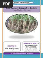 Co Op Business Plan Template PDF | PDF | Cooperative | Marketing