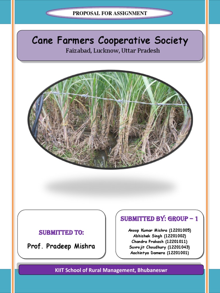 Cane Farmers Cooperative Proposal | PDF | Resource | Cooperative
