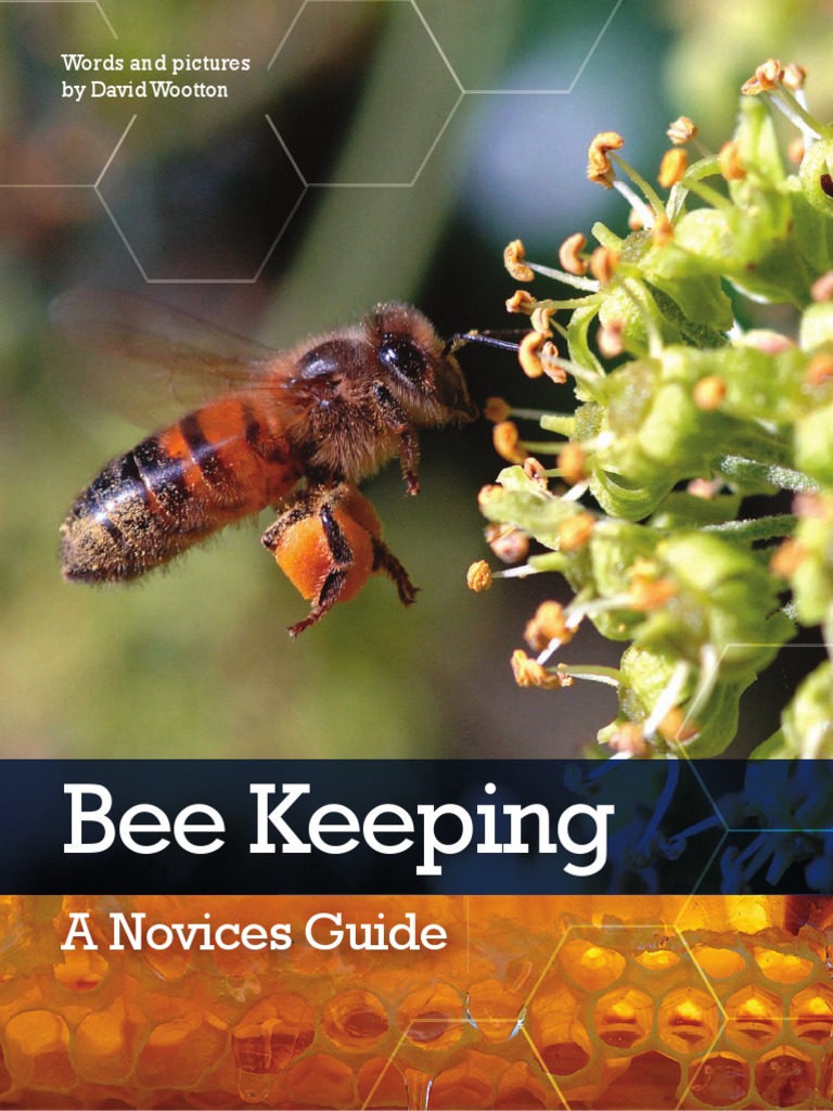 Bee Keeping A Novices Guide Unlocked | PDF