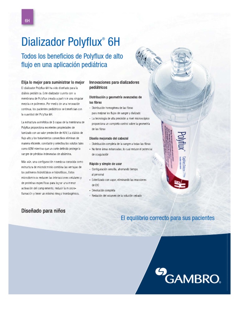 dializador_polyflux_6h | Sustancias químicas | Química