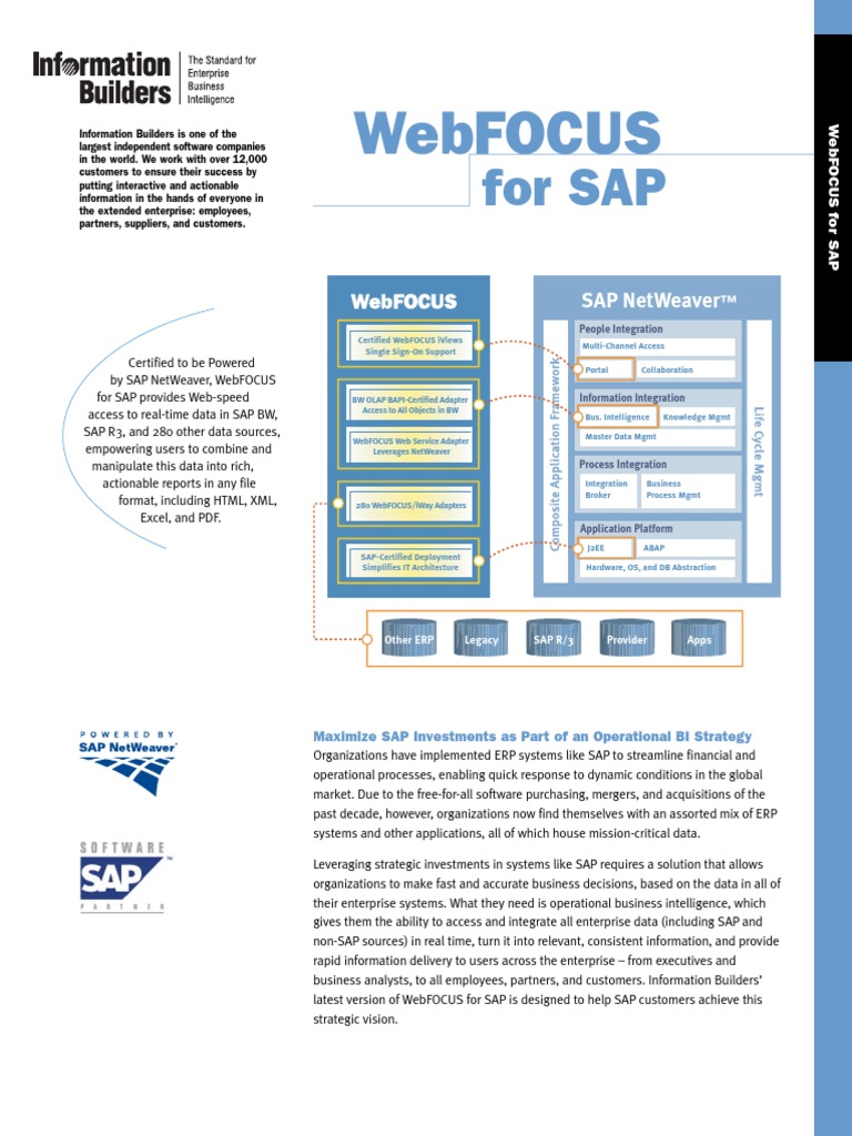 WF For SAP FS | PDF | Sap Se | Business Intelligence