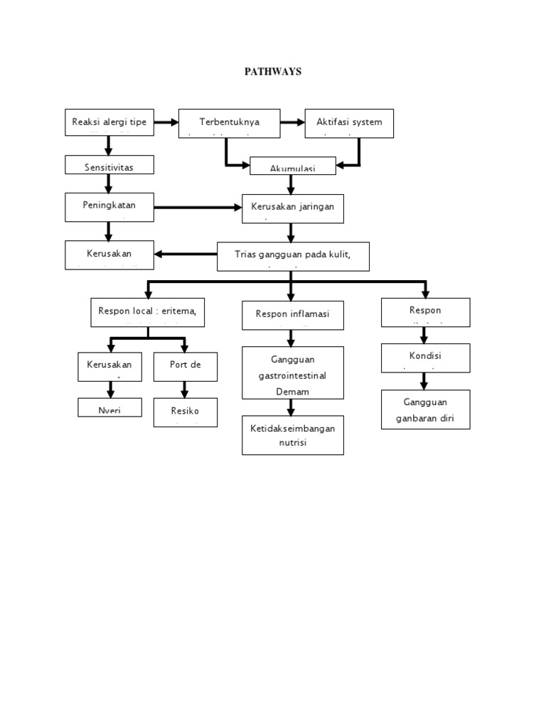 Pathways Alergi | PDF