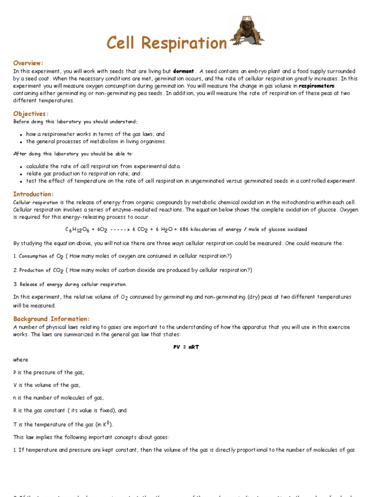 Cell Respiration Lab | Cellular Respiration | Gases