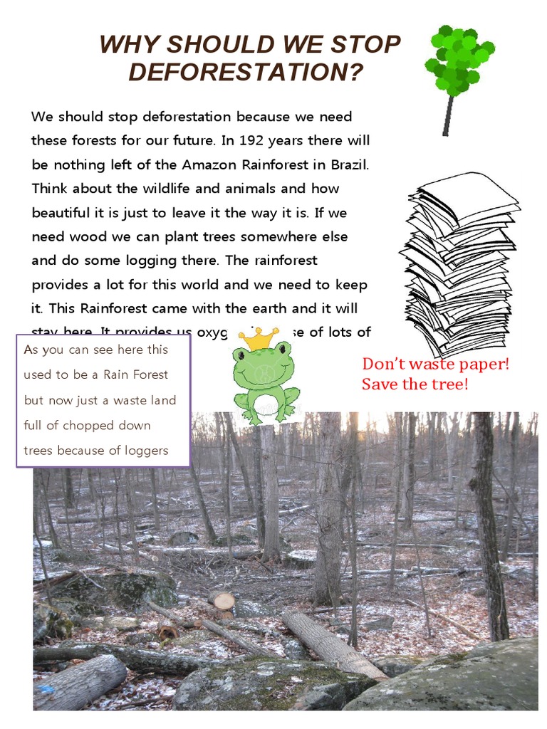 Reasons to Stop Deforestation | PDF | Deforestation | Amazon Rainforest